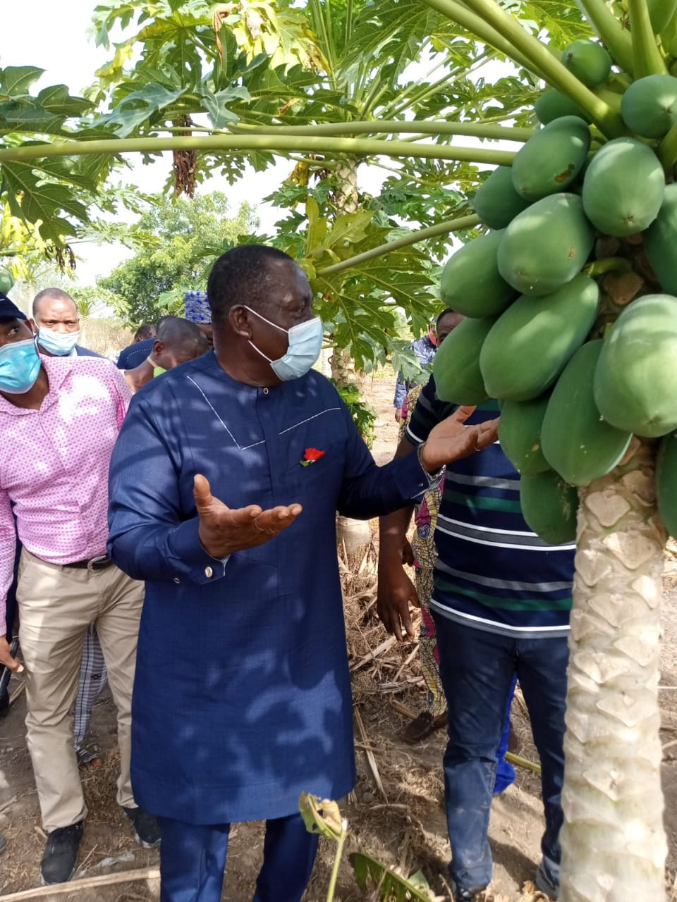 Performances agricoles au Bénin : Des progressions en 2020 et de ...