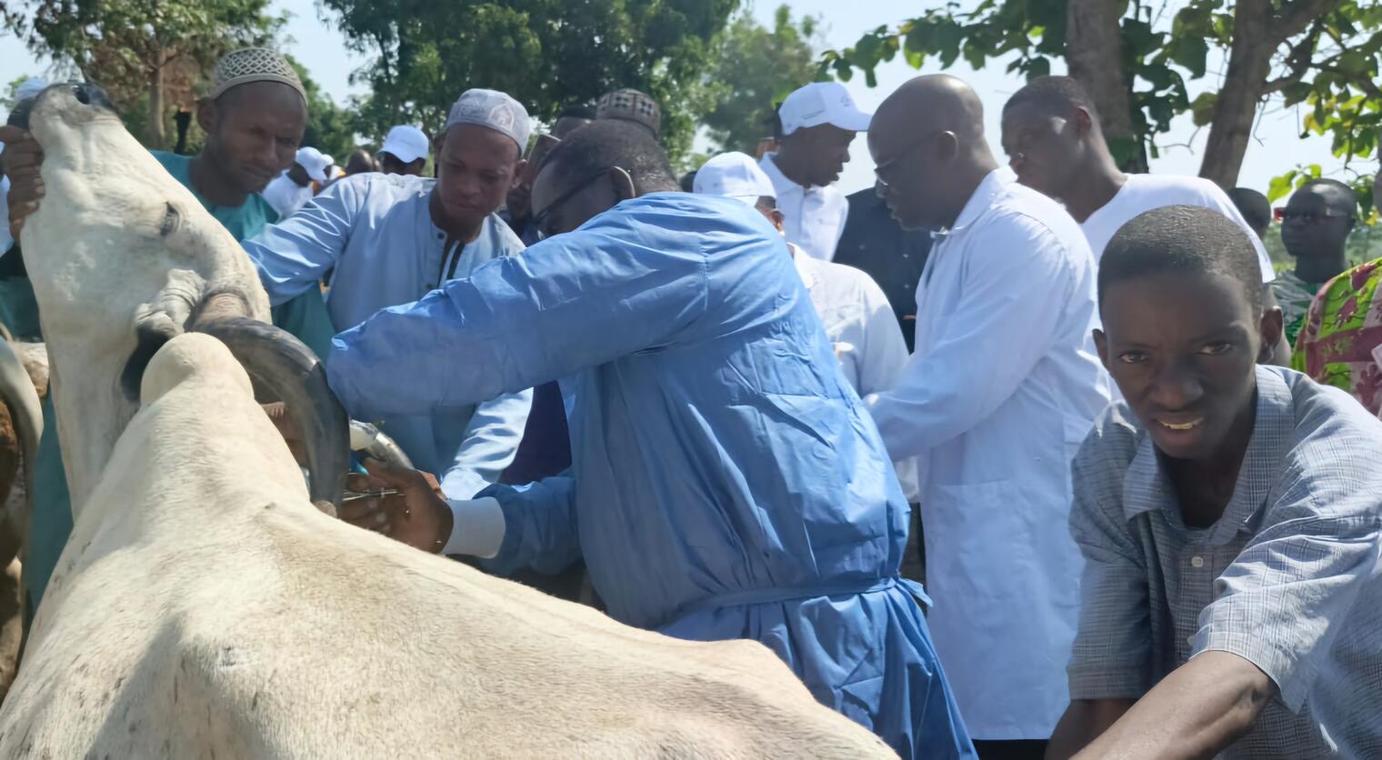 Destination Bénin : SAVÈ, vous accueille sous ses mamelles ...